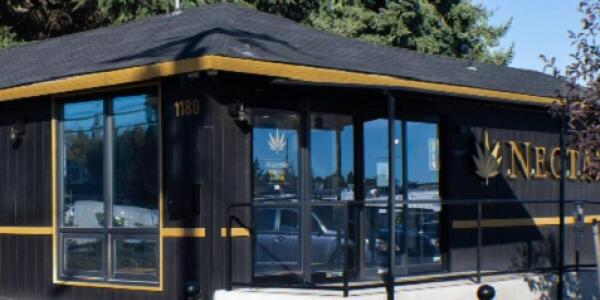 Nectar: Elevating the Cannabis Experience with Quality and Community ...